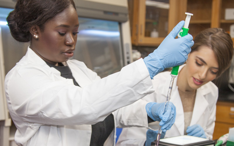 Divisions - Bunker Hill Community College